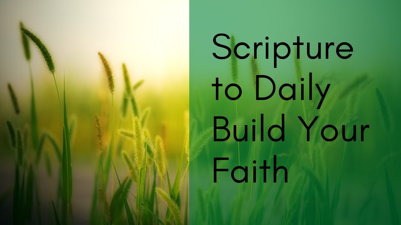 Scripture to Daily Build Your Faith - YouTube