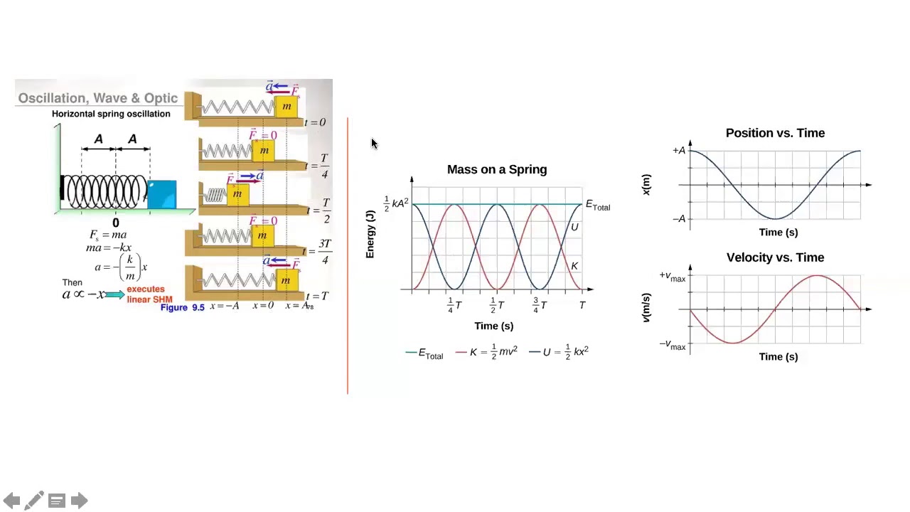 Energy in Simple Harmonic Motion - YouTube