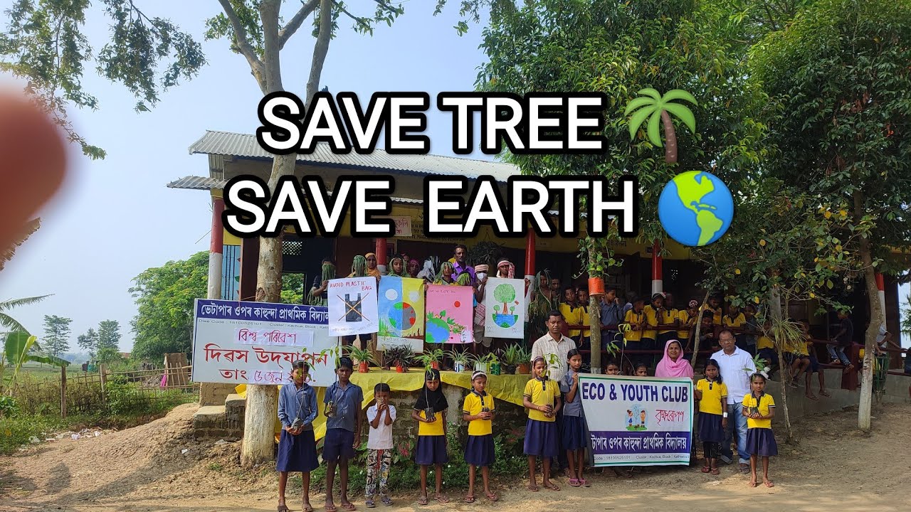 SAVE TREE 🌴 SAVE EARTH 🌎 - YouTube