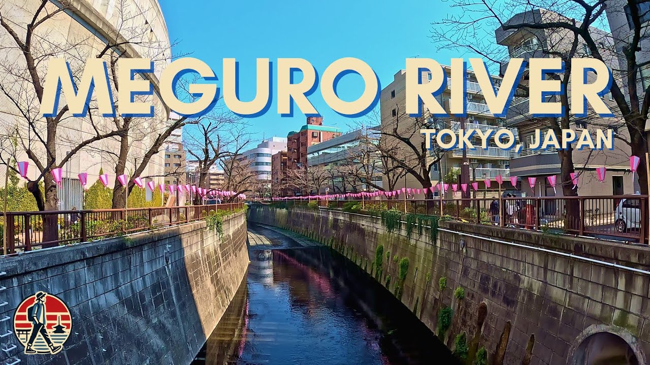 A Stroll to the Meguro River: Spring Vibes & Hanami Preparations - YouTube