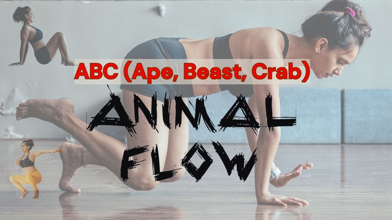 Travelling forms of Animal Flow level 1 - YouTube