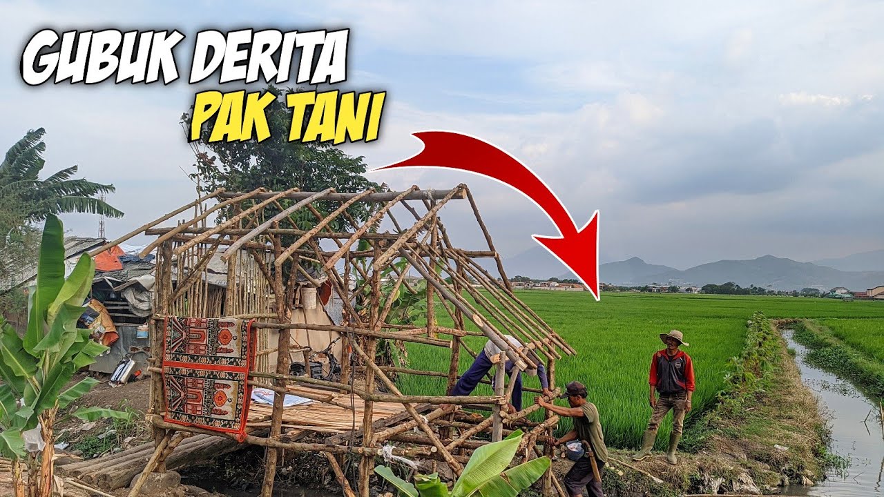 pak tani lagi bikin gubuk derita - YouTube