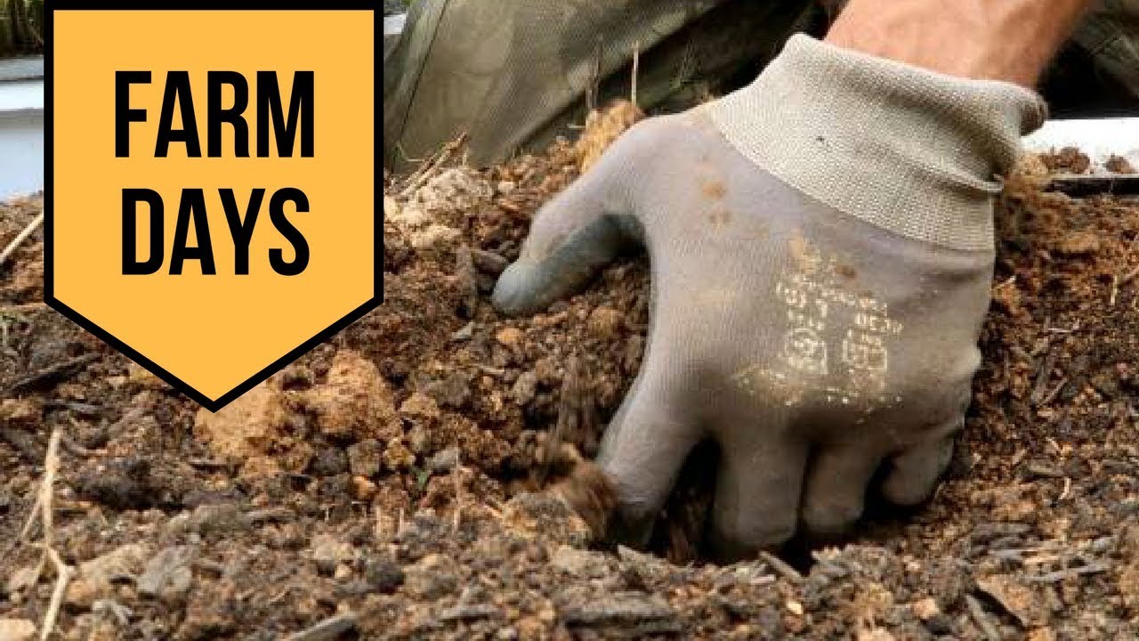 NEW FARM HAND??!! /// FARM DAYS @ BIG POND FARM /// GROWING OUR MARKET ...