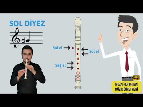 Blok Flüt Öğreniyorum - Si Bemol  - Fa Diyez  ve  Sol Diyez Notaları