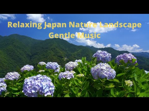 Japan Nature and Landscape | Gentle Music No Words | Relaxing Travel | Short Video 2 Minutes