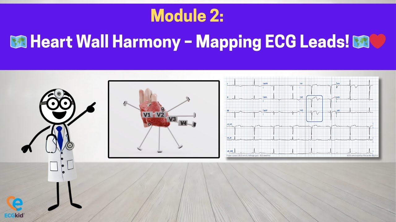 Module 2: Mapping Heart Walls with ECG Leads | ECG Code Pro - YouTube