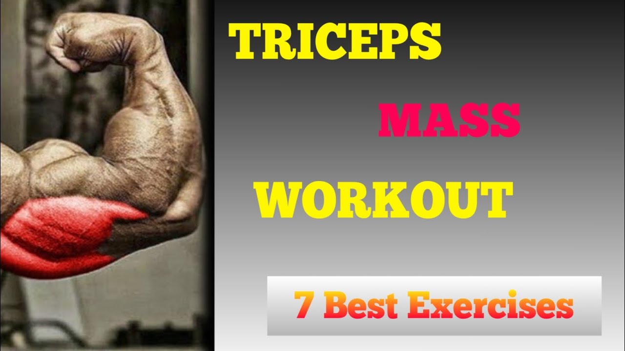 7 Best Exercises To Bigger Tri Triceps Workout | 7 Best Tricep ...