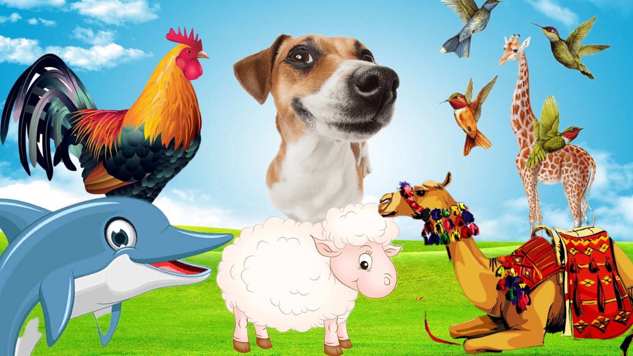 CUTE LITTLE ANIMALS - RABBIT, CAMEL, HORSE, DOG, CAT, BIRDS - ANIMAL ...