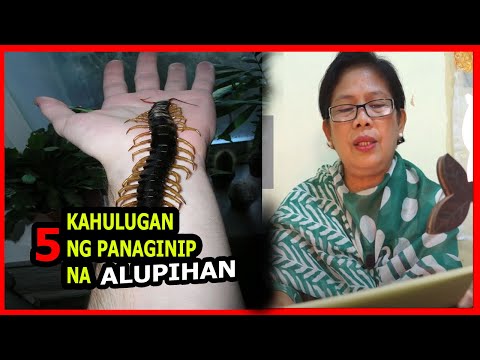KAHULUGAN NG PANAGINIP NA ALUPIHAN - MALAKI, MARAMING ALUPIHAN SA PANAGINIP - MEANING O IBIG SABIHIN