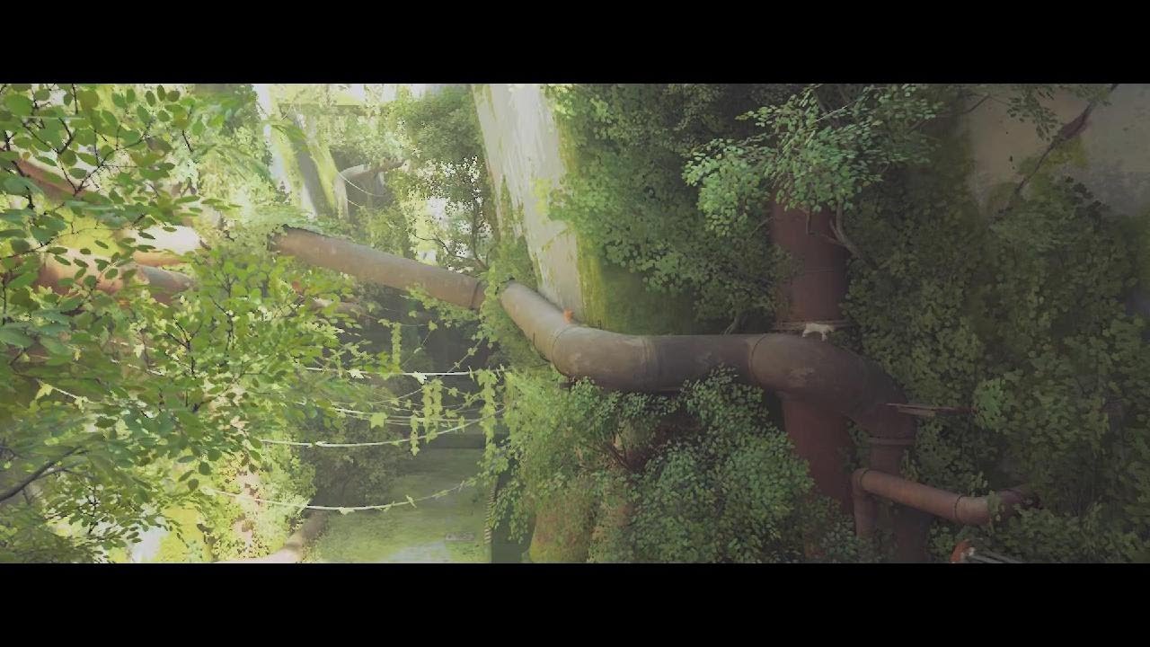 Stray cat gameplay - YouTube