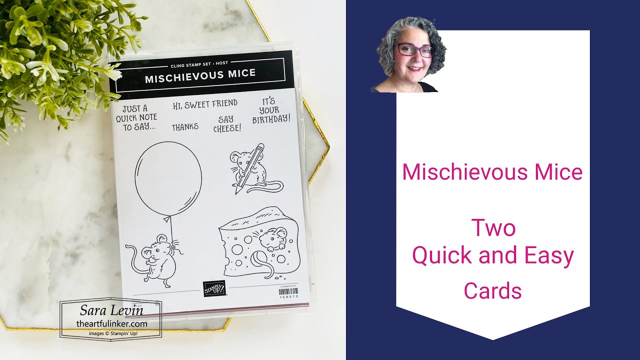 Mischievous Mice Two Quick and Easy Card - YouTube
