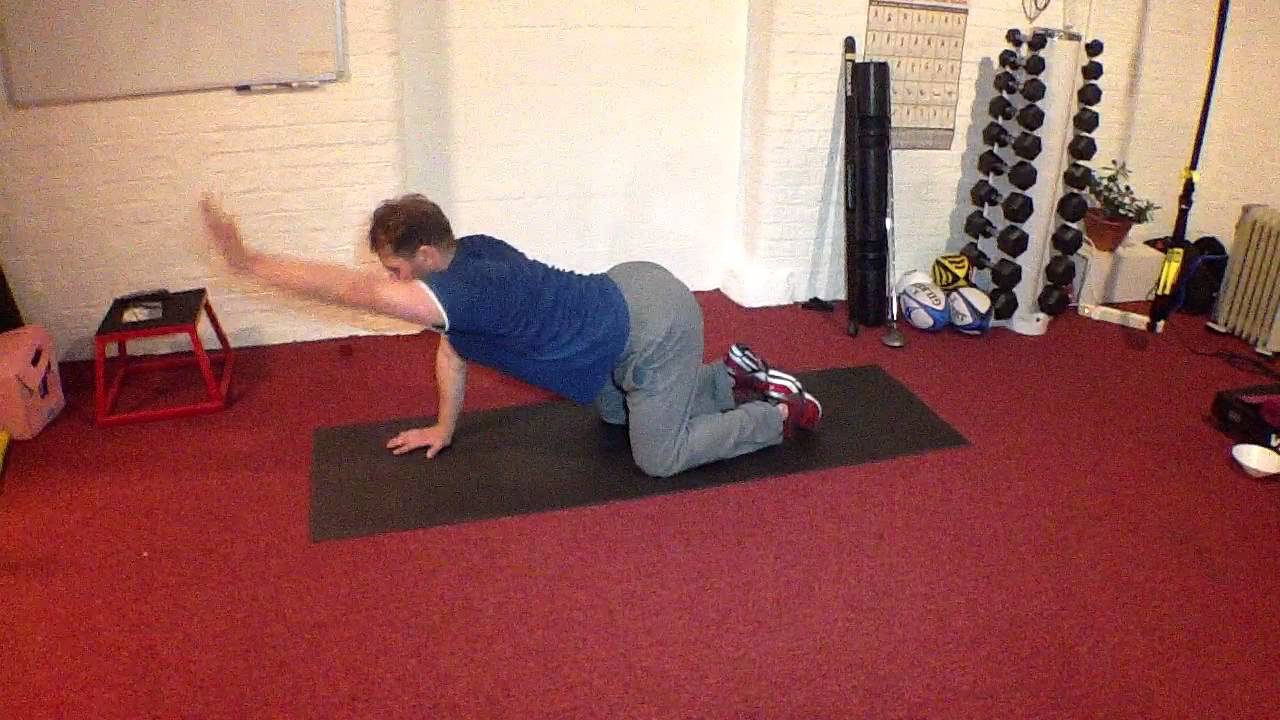 Spinal Articulation Sagittal arm driver. - YouTube