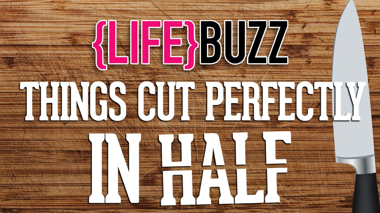 Things Cut Perfectly In Half | Incredible Photos - YouTube