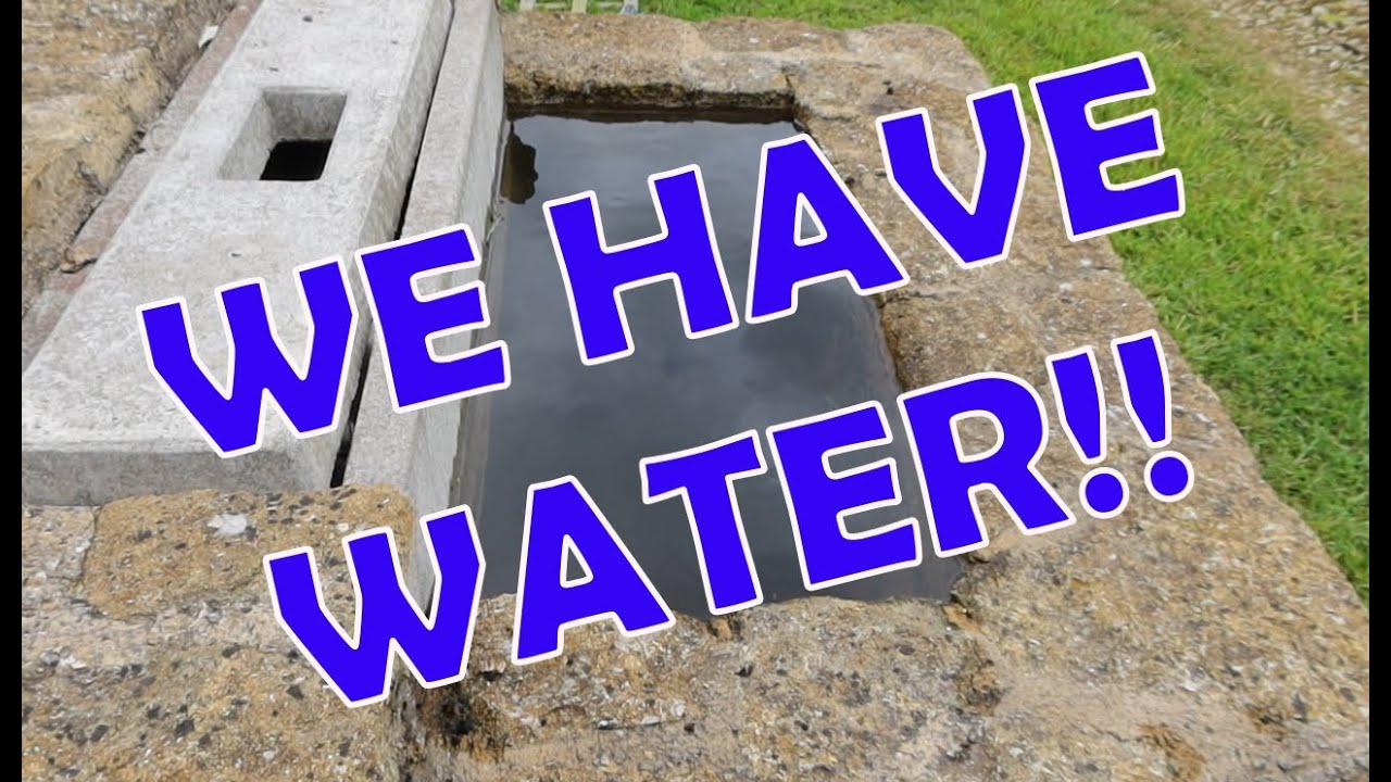 Water Back on! Planting out my beans. Indoor Tomatoes get a trim & a ...