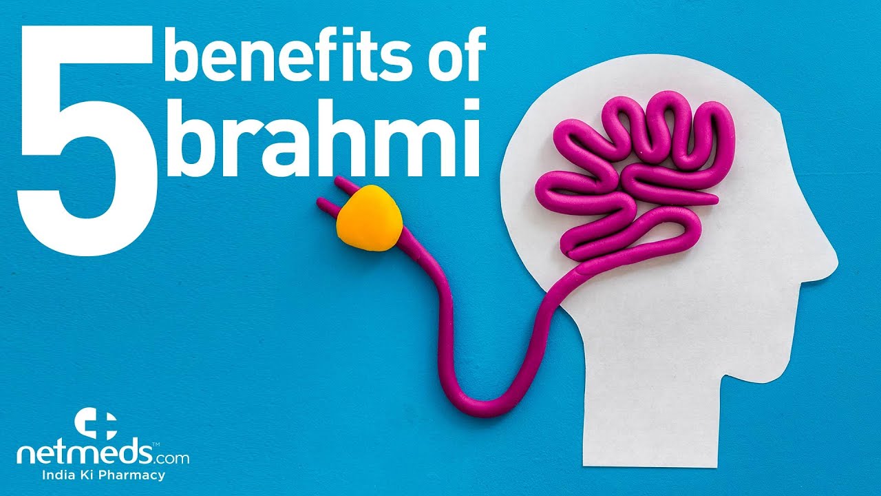 Top 5 Benefits Of Brahmi - YouTube