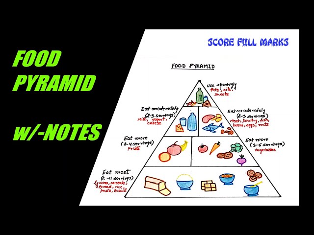 Simple Food Pyramid Label