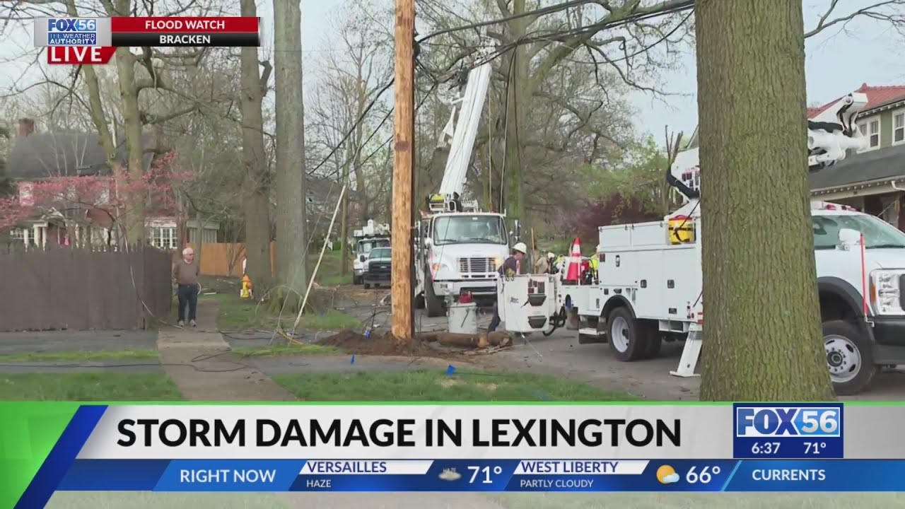 Lexington severe storms sees trees, powerlines downed - YouTube