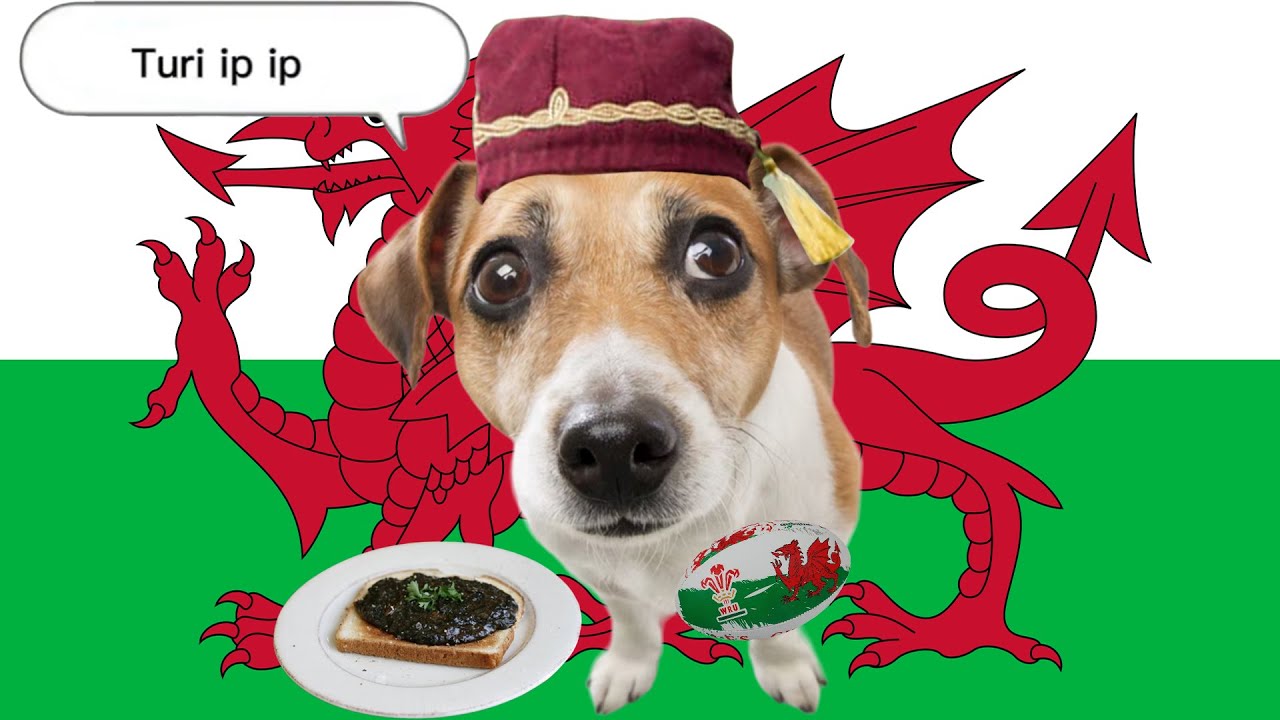 Turi Ip Ip Ip - YouTube