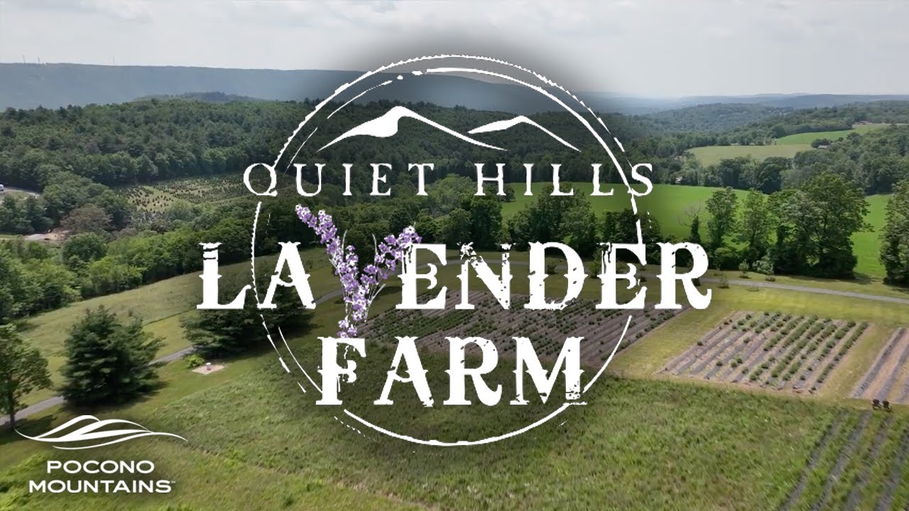 Quiet Hills Lavender Farm | Pocono Mountains - YouTube