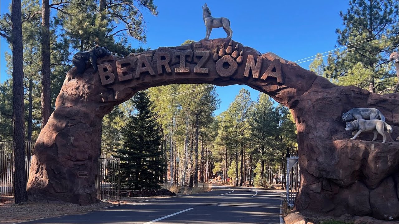 Bearizona Wildlife Park in Williams AZ - YouTube