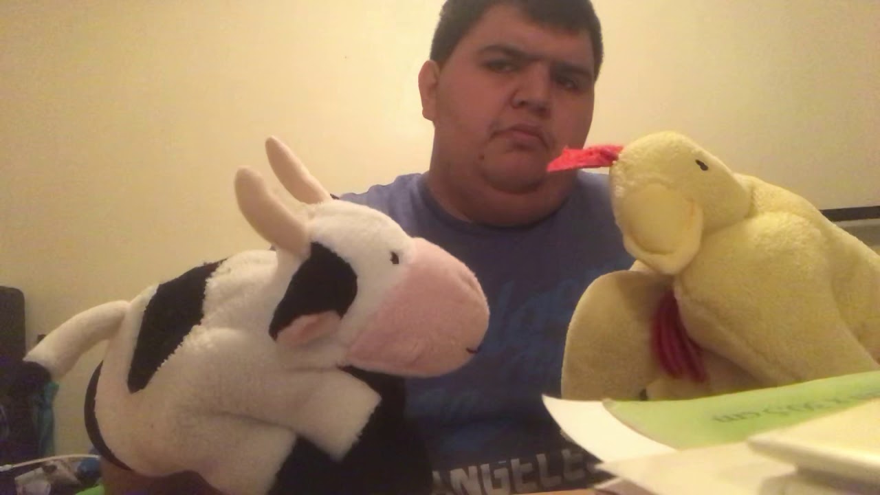 Mr. Cowie 🐄 and Rusty 🐓 part 1. - YouTube