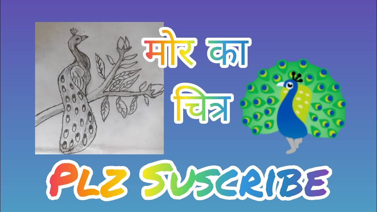 how to draw a peacock step by step easy | मोर का चित्र आसानी से कैसे ...