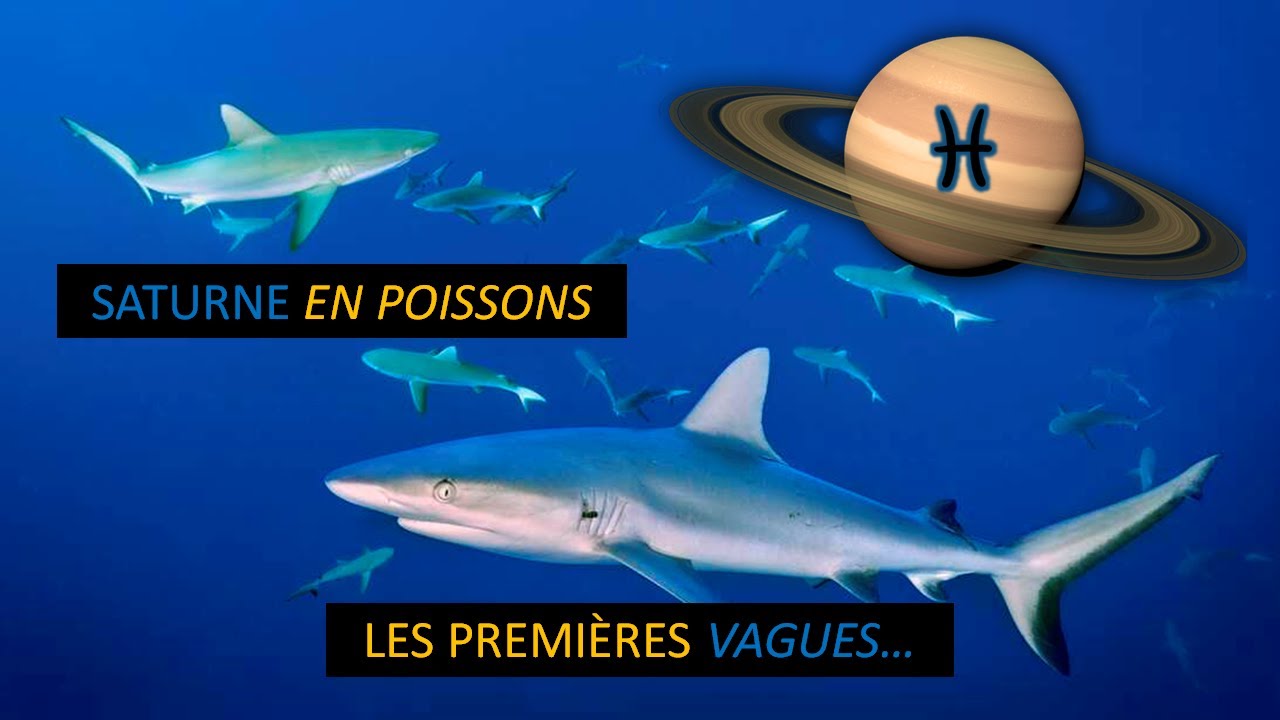 SATURNE EN POISSONS : LES PREMIÈRES VAGUES AUX LUMIÈRES DE L'ASTROLOGIE (MARS 2023 - FEV 2026 ...