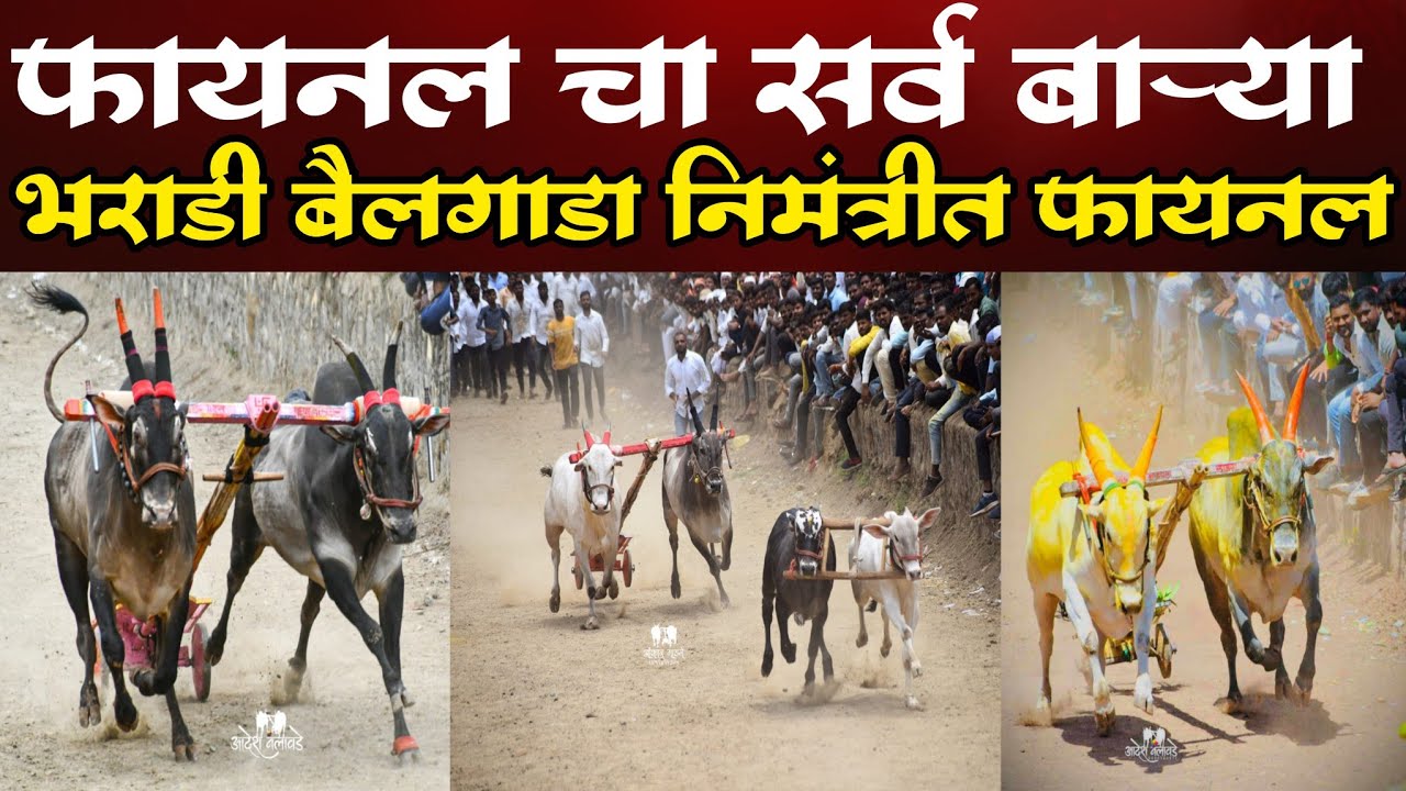 Bailgada sharyat final bharadi - YouTube