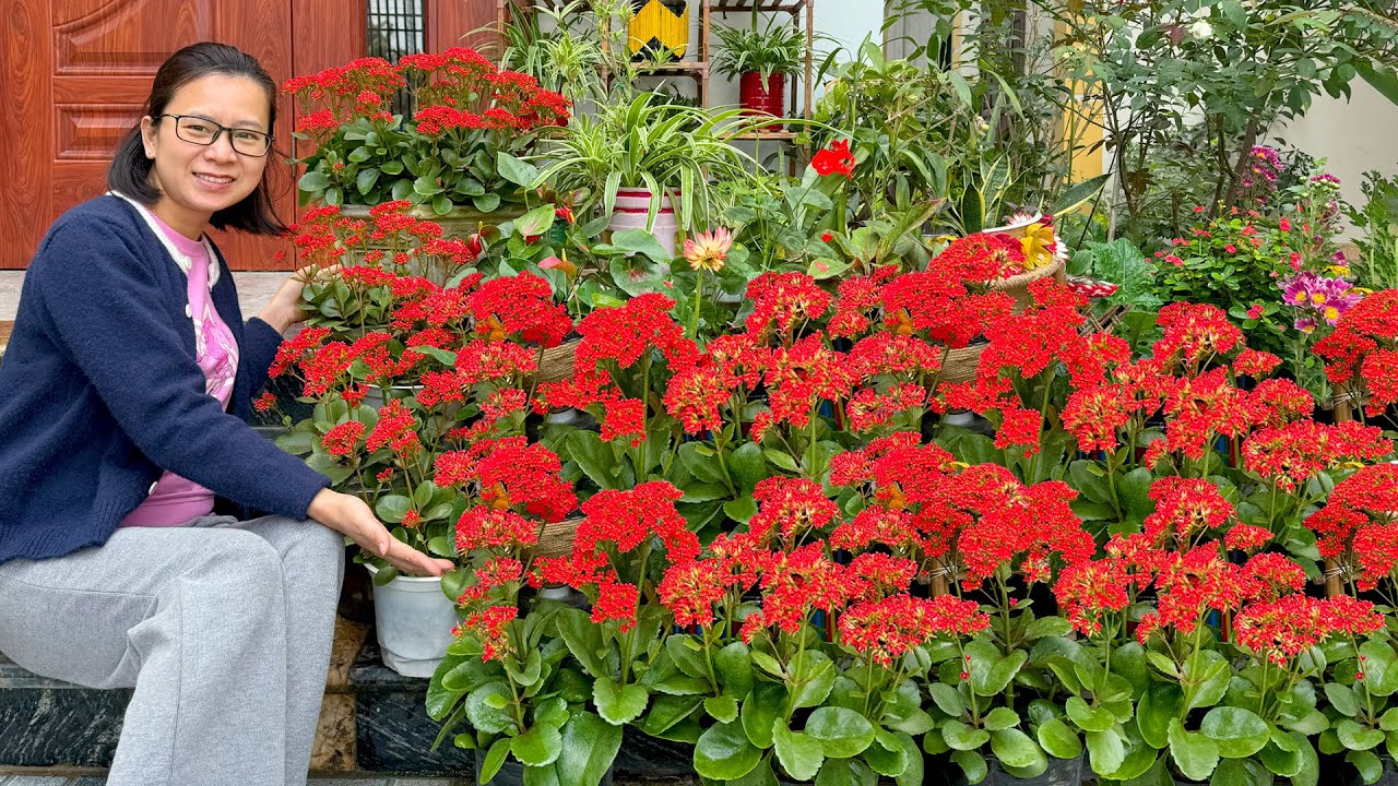 Refresh your space with plants that produce beautiful flowers and ...