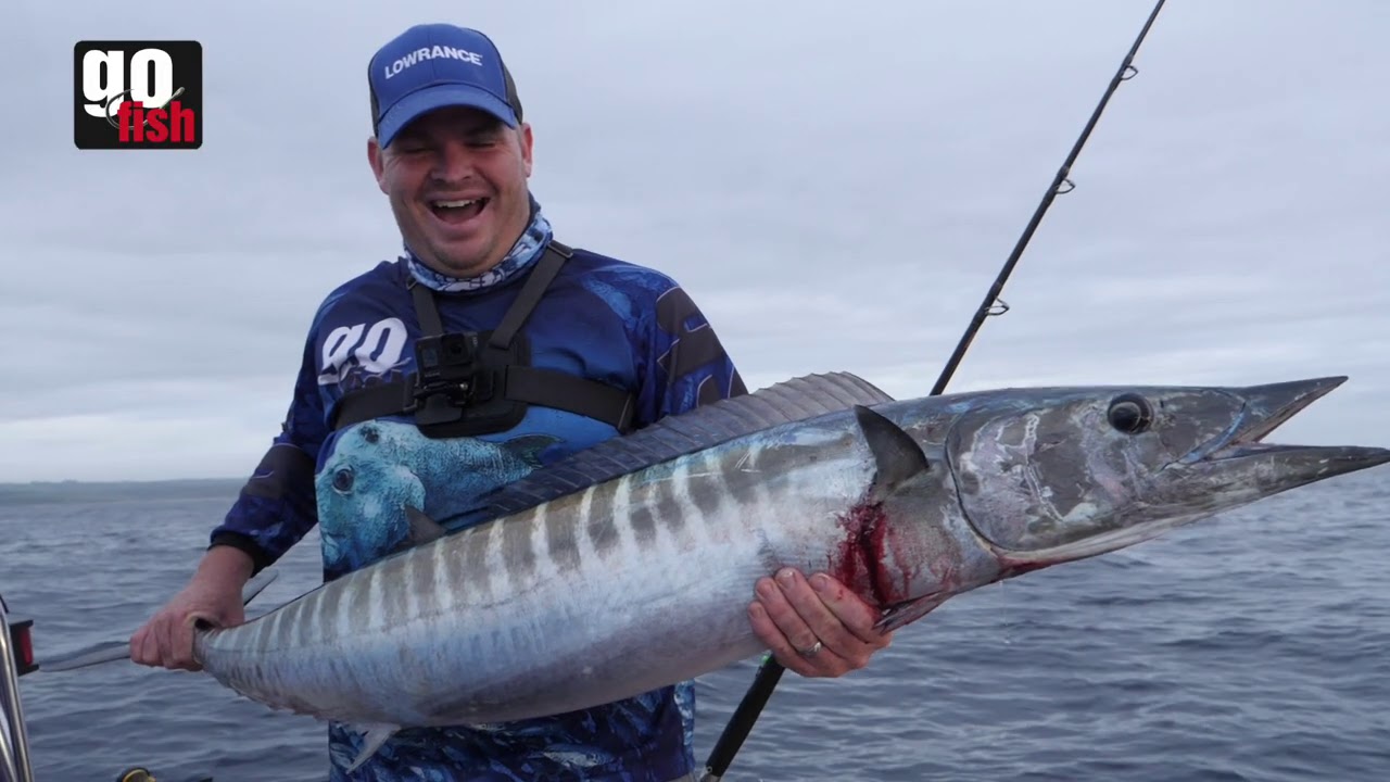 Go Fish Weekly Highlights - BIG FISH - YouTube