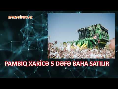 PAMBIQ XARİCƏ 5 DƏFƏ BAHA SATILIR