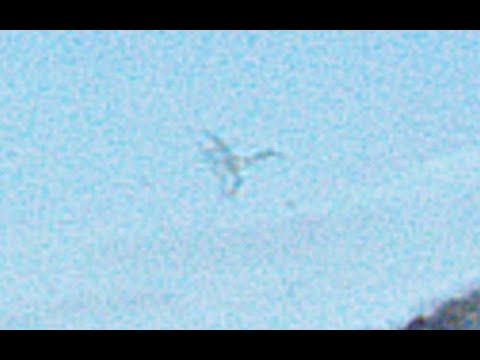 thunderbird sighting - YouTube