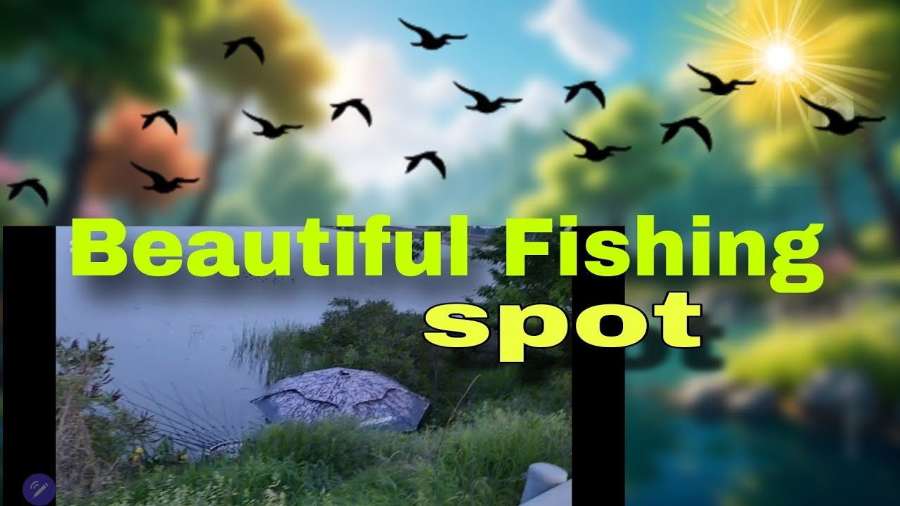 Beautiful Fishing Spot!!! Best Fishing Video - YouTube