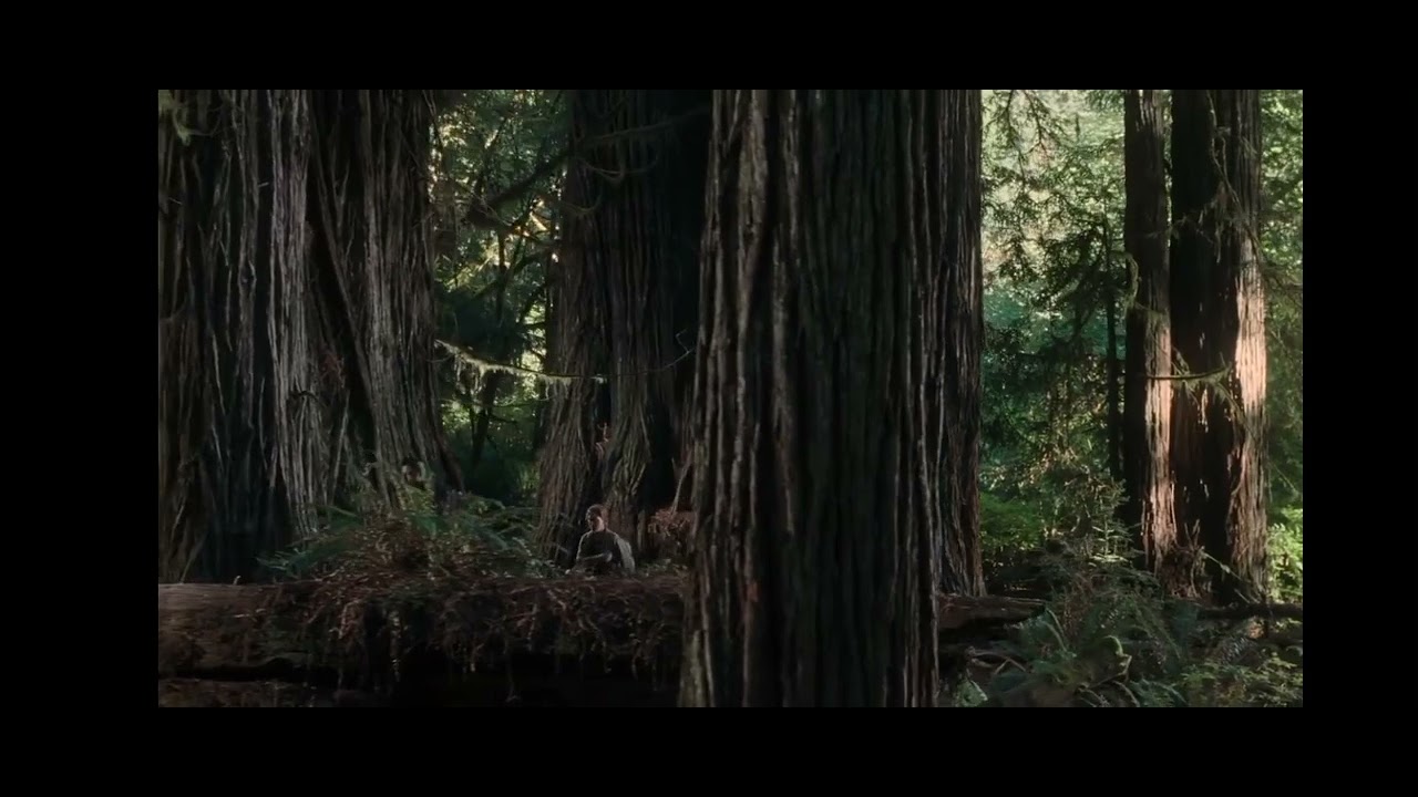 the mysterious forest: the lost world Jurassic Park - YouTube