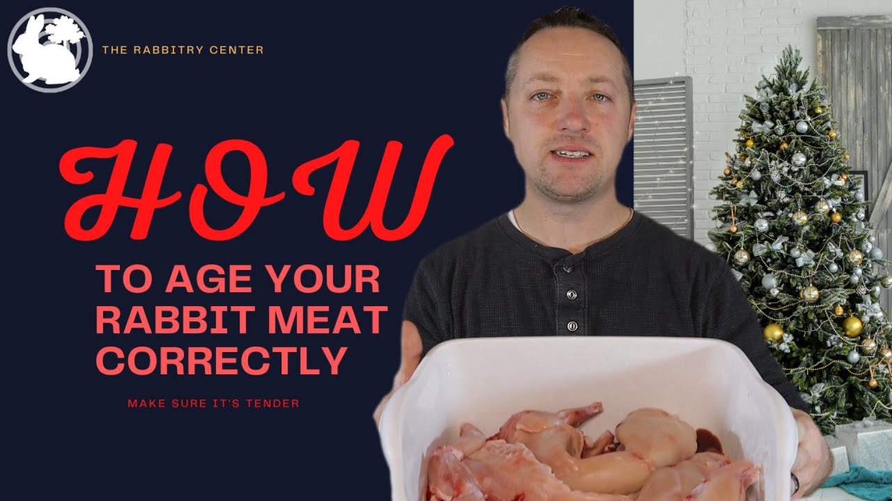 HOW TO AGE RABBIT MEAT CORRECTLY - YouTube
