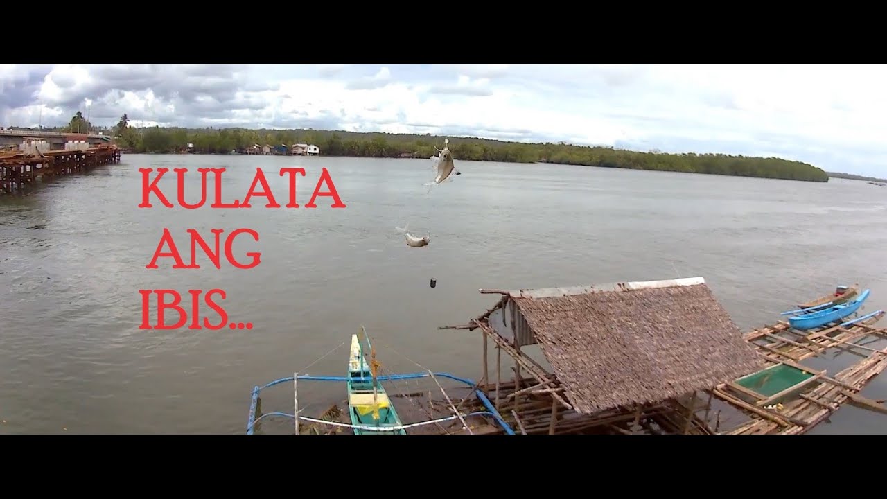 IBIS | BISLIG BRIDGE - YouTube