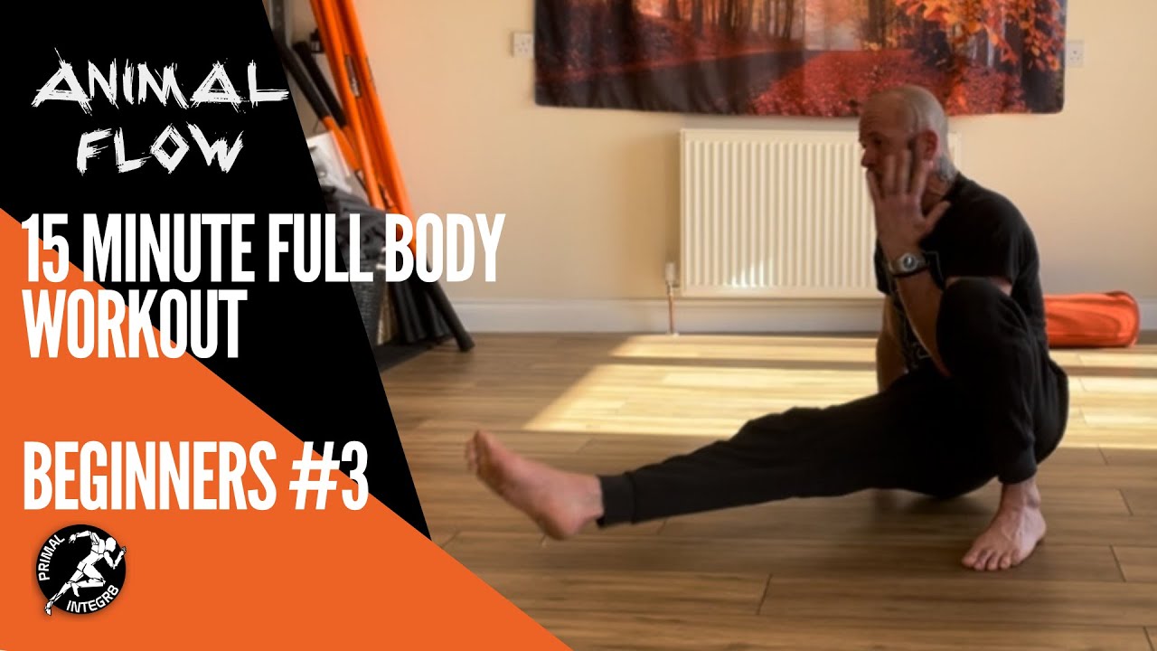 Animal Flow, 15 minute full body workout, beginners #3 - YouTube