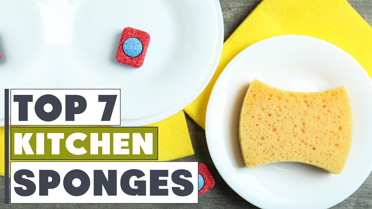 Best Kitchen Sponges of 2024: Ultimate Buying Guide - YouTube