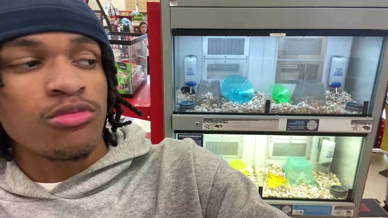 Buying my first pet snake - YouTube