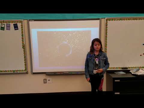 Spiritridge Elementary School (2022 Ranking) | Bellevue, WA