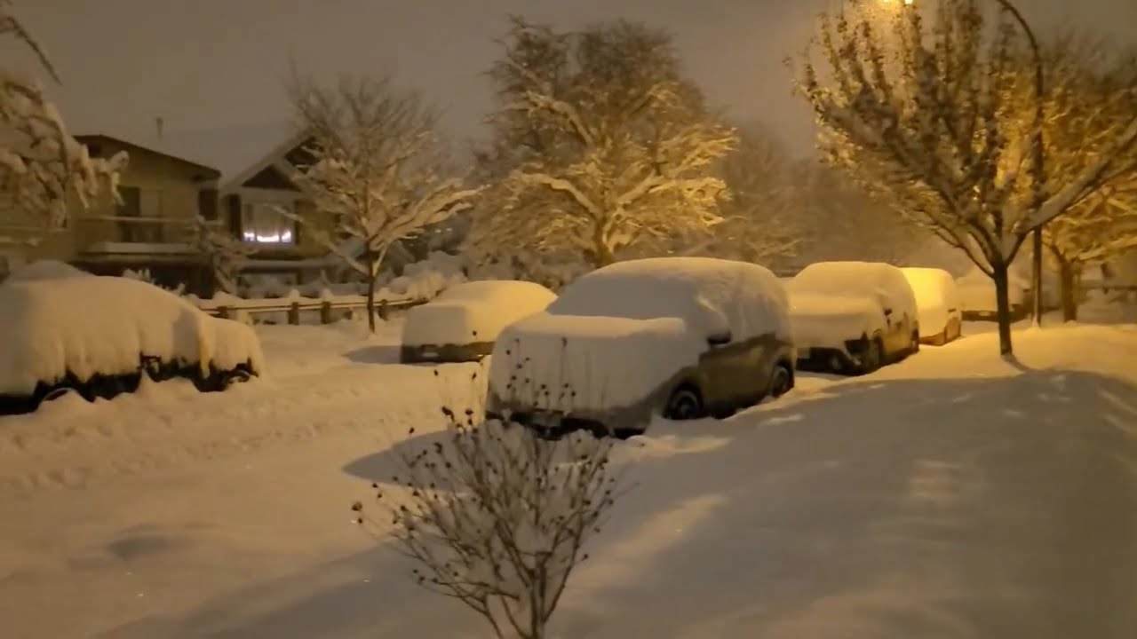Vancouver snowstorm freezes everything! Blizzard strikes BC, covering ...