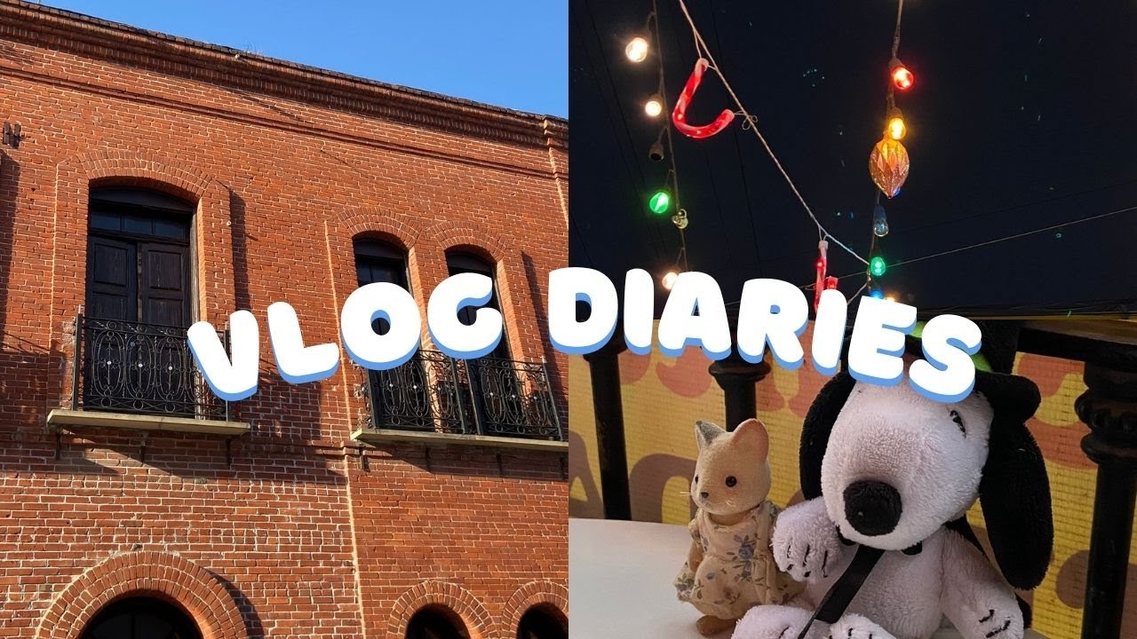 Vlog Diaries ( ‿ ) - YouTube