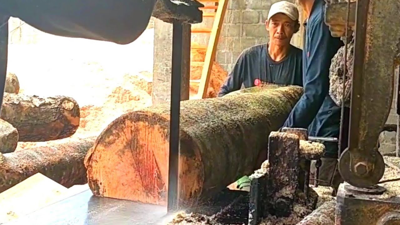 Nothing Can Stop This Sawmill... - YouTube