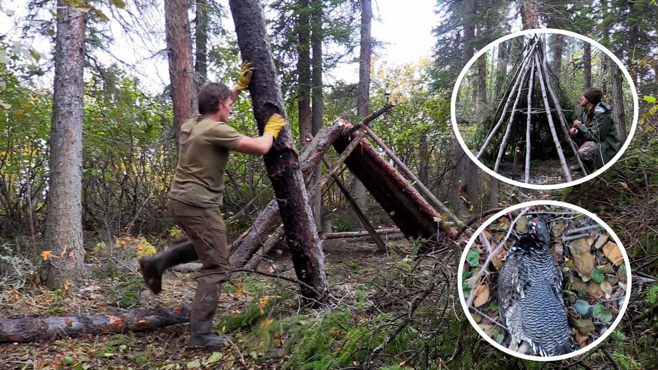 In a $500,000 survival contest, Contestants start building cabin ...
