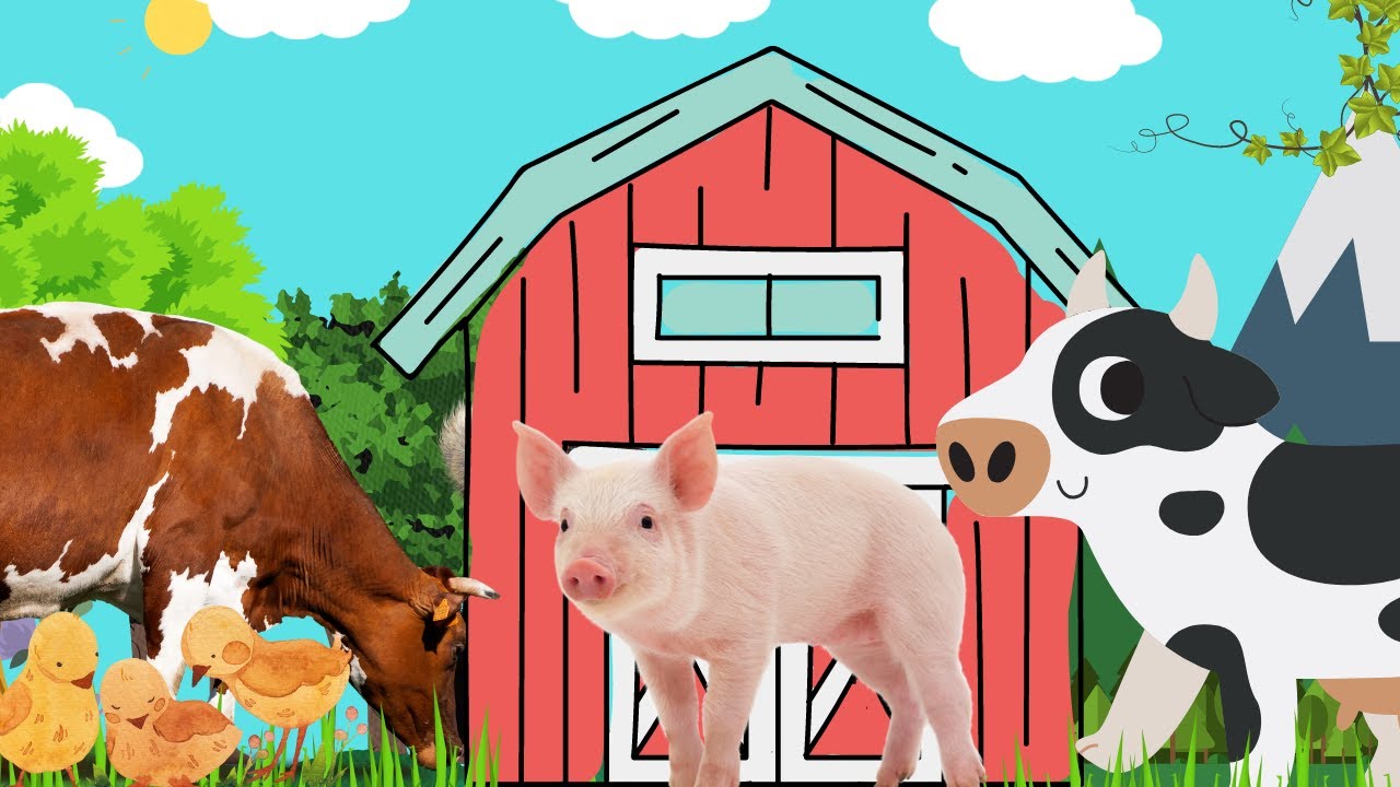 Real Farm Animals Sounds: A Fun and Educational Video for Kids and ...