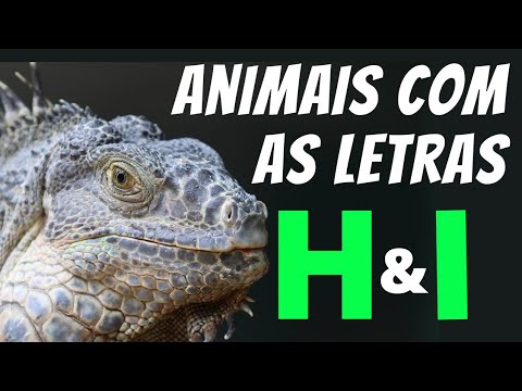 CONHECENDO OS ANIMAIS COM AS LETRAS H e I - Vídeo dos Bichos e seus ...