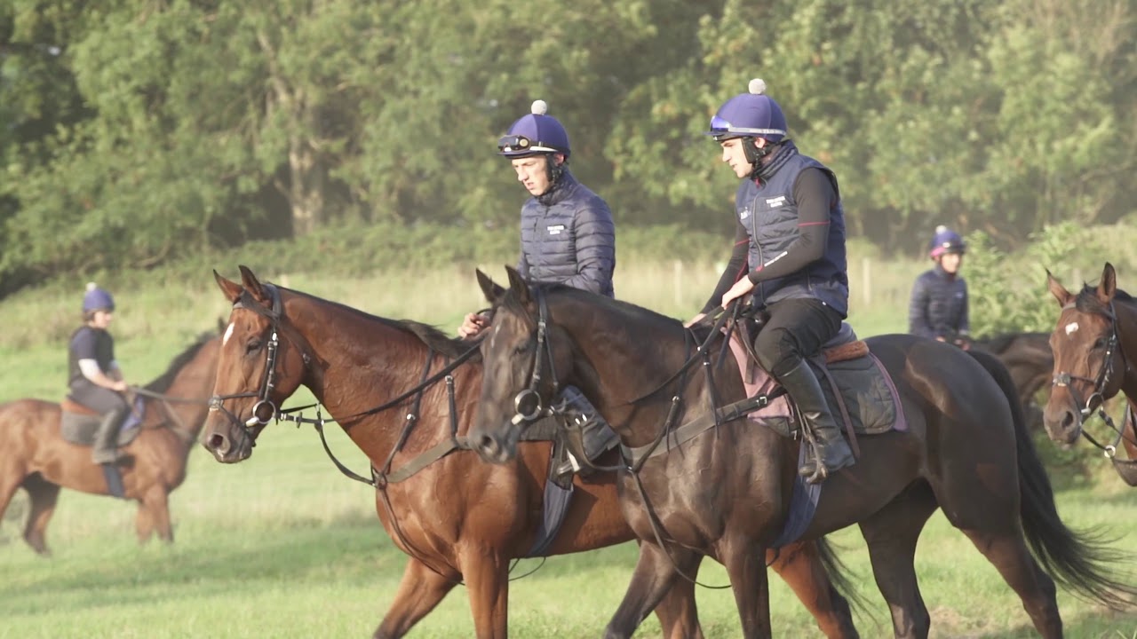 Tom George Racing HBA Media Promotional Video - YouTube