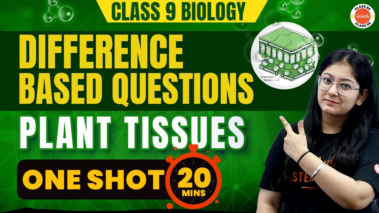 Important Difference-Based Questions in Plant Tissues Class 9 One Shot ...