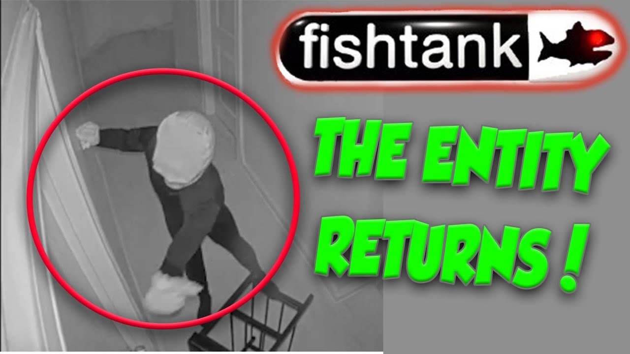 THE ENTITY RETURNS | Fish tank Live | Day 10 - YouTube