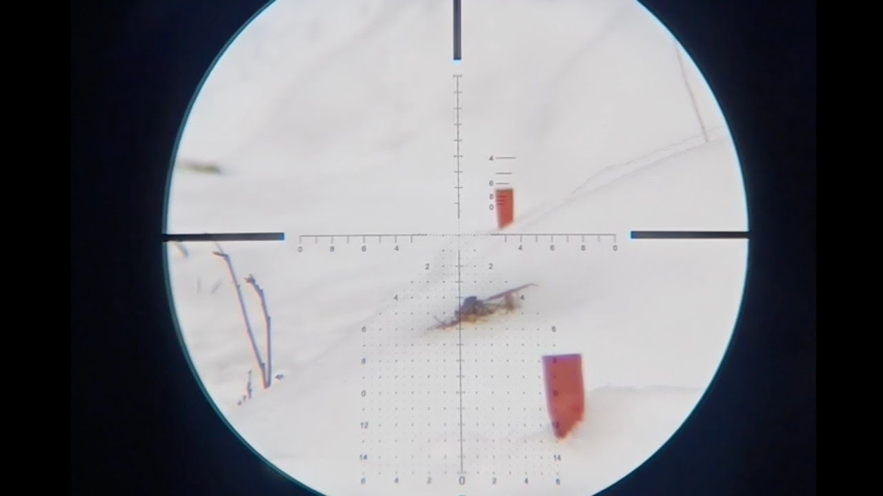 Range Estimating Prone Target with Primary Arms - Athena BPR reticle ...